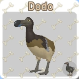 Dodo | Feather Family Wiki | Fandom