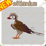 Feitianius | Feather Family Wiki | Fandom