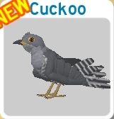 Cuckoo | Feather Family Wiki | Fandom