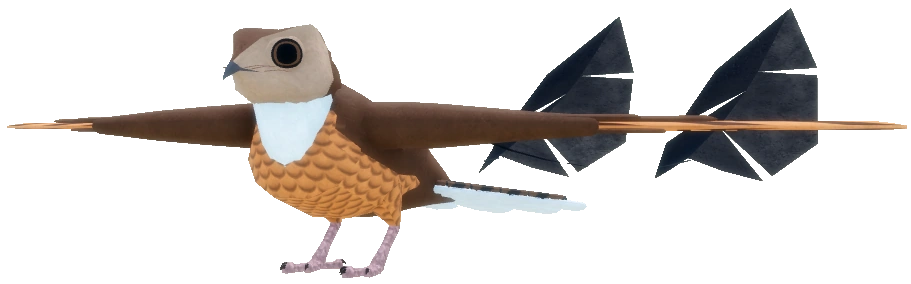 Nightjar | Feather Family Wiki | Fandom