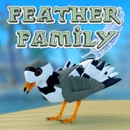 Plover | Feather Family Wiki | Fandom