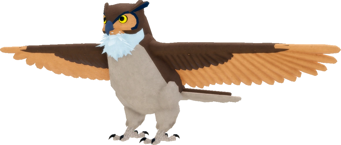 Owl | Feather Family Wiki | Fandom