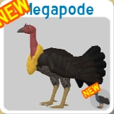 Megapode | Feather Family Wiki | Fandom