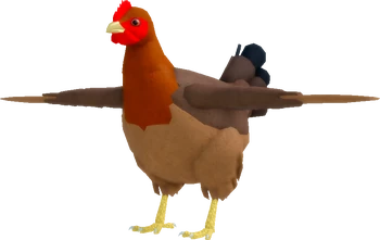 Chicken | Feather Family Wiki | Fandom