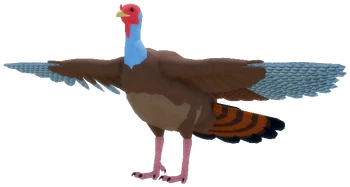 Turkey | Feather Family Wiki | Fandom