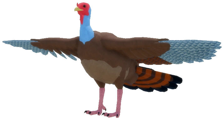 Family Turkey
