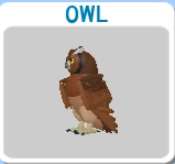 Owl | Feather Family Wiki | Fandom