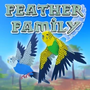 Parakeet | Feather Family Wiki | Fandom