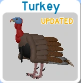 Turkey | Feather Family Wiki | Fandom