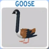 Goose | Feather Family Wiki | Fandom