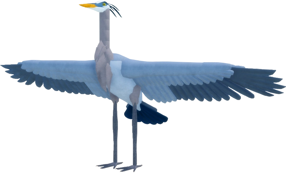 Heron | Feather Family Wiki | Fandom