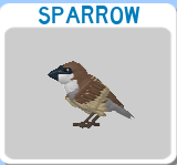 Sparrow | Feather Family Wiki | Fandom