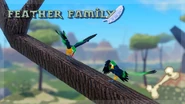Falcatakely | Feather Family Wiki | Fandom