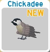Chickadee | Feather Family Wiki | Fandom