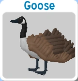 Goose | Feather Family Wiki | Fandom