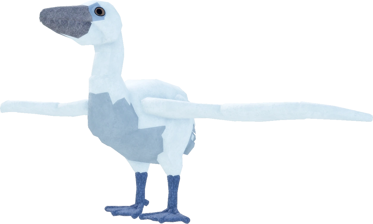 Pelagornis Sandersi Skull