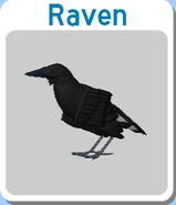 Raven | Feather Family Wiki | Fandom