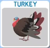 Turkey | Feather Family Wiki | Fandom