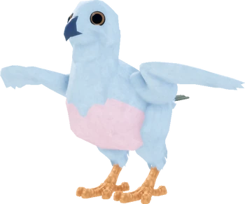 Hawk | Feather Family Wiki | Fandom