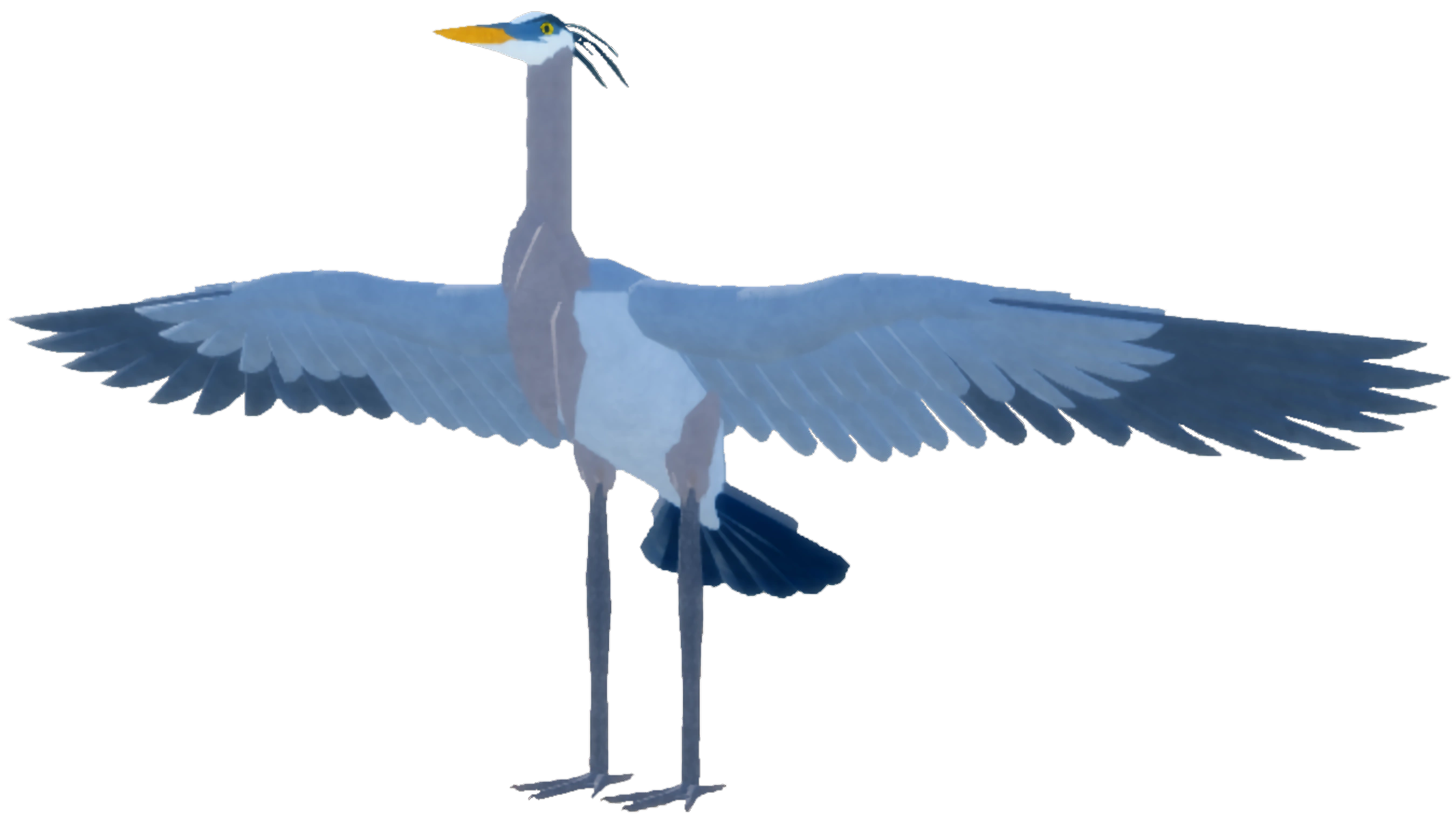 Discuss Everything About Feather Family Wiki | Fandom