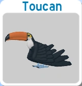 Toucan | Feather Family Wiki | Fandom
