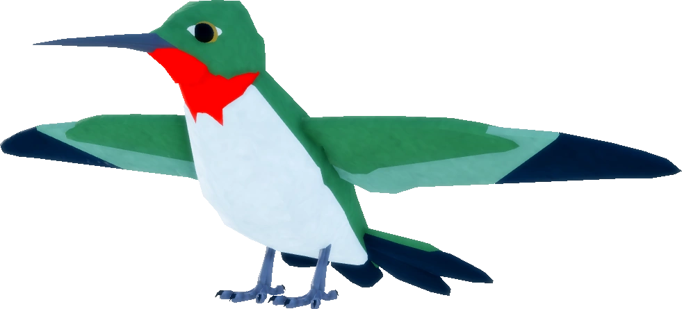 Hummingbird | Feather Family Wiki | Fandom
