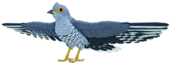 Cuckoo | Feather Family Wiki | Fandom