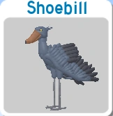 Shoebill | Feather Family Wiki | Fandom