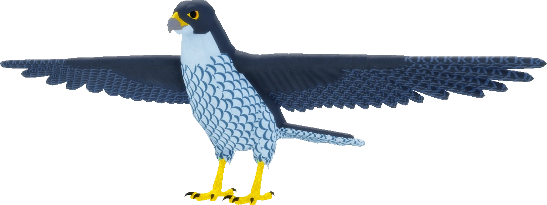 Falcon | Feather Family Wiki | Fandom