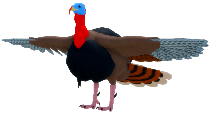 Turkey | Feather Family Wiki | Fandom
