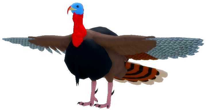 Turkey | Feather Family Wiki | Fandom