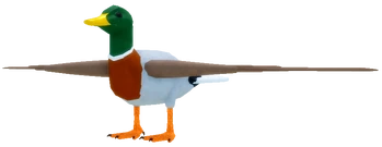 Duck | Feather Family Wiki | Fandom