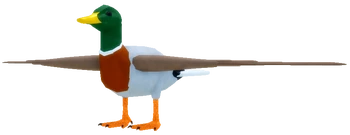 Duck | Feather Family Wiki | Fandom