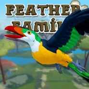 Falcatakely | Feather Family Wiki | Fandom