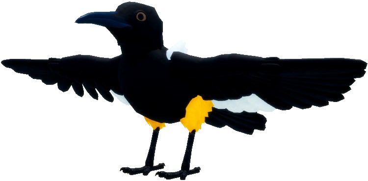 'Ō'ō | Feather Family Wiki | Fandom