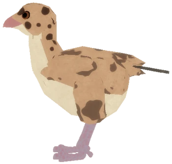 Turkey | Feather Family Wiki | Fandom