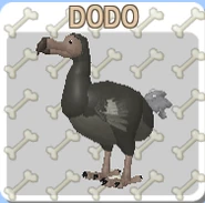 Dodo | Feather Family Wiki | Fandom