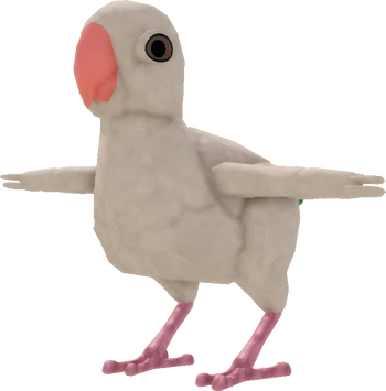 Parakeet | Feather Family Wiki | Fandom