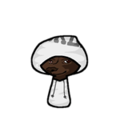 Anselmic Fungi | Find The Fungi Wiki | Fandom