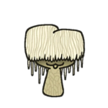 Bearded Fungi | Find The Fungi Wiki | Fandom