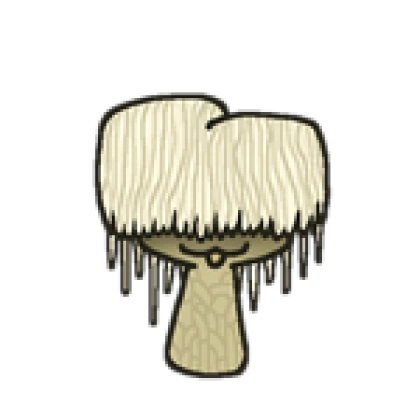 Bearded Fungi | Find The Fungi Wiki | Fandom