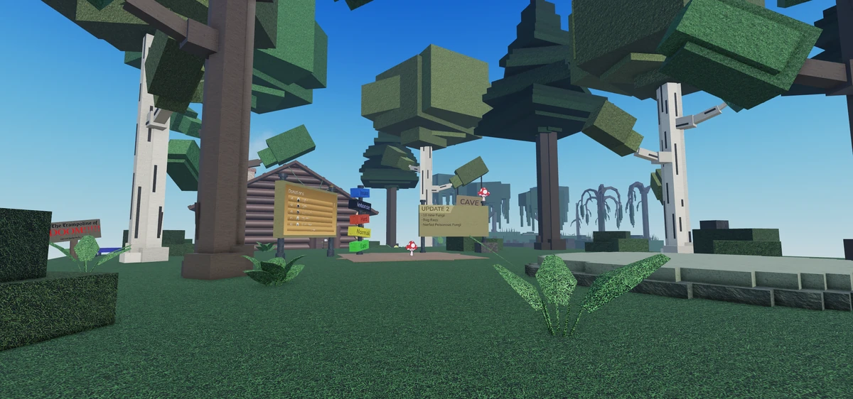 Forest | Find The Fungi Wiki | Fandom