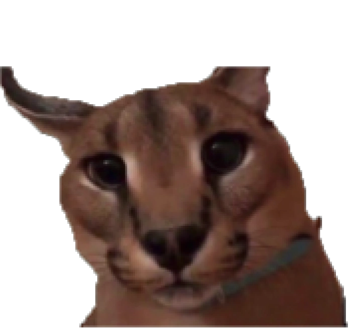 Floppa | Roblox find-the-memes Wiki | Fandom