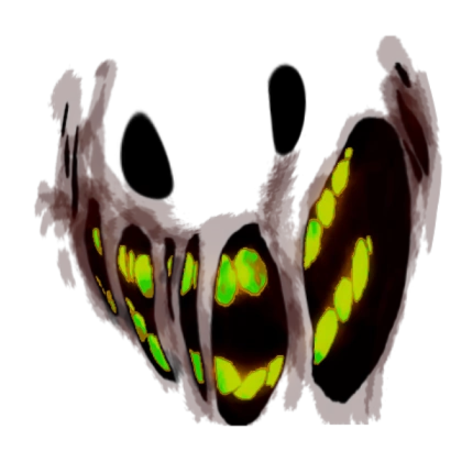 A-80 | ROBLOX Formidable Rooms Wiki | Fandom