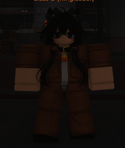Class D Roblox Game Area 47 Wiki Fandom