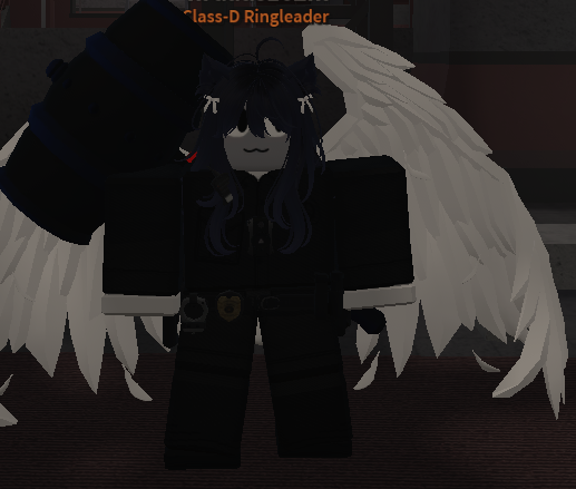 Class D Roblox Game Area 47 Wiki Fandom