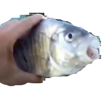 Killer Fish | Roblox Goofy Runners Wiki | Fandom