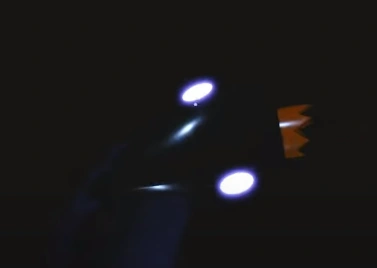 Raven | Roblox Haunt Wiki | Fandom