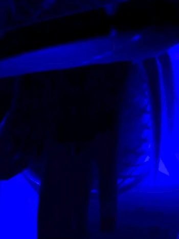 Tempest | Roblox Helix Ascent Wiki | Fandom