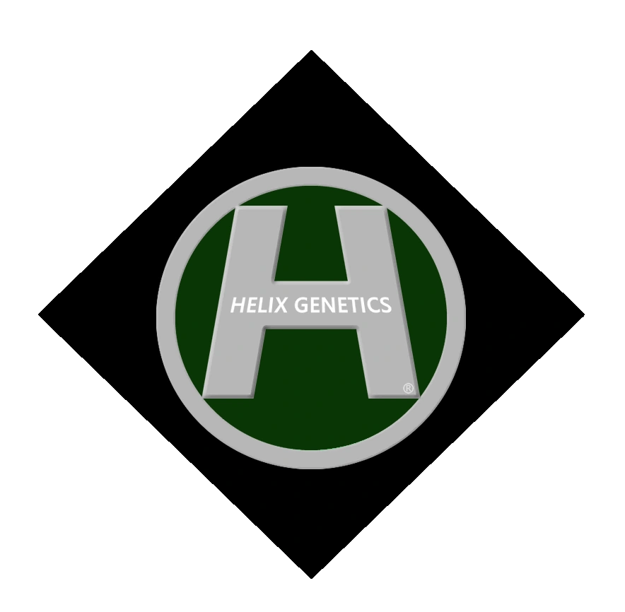 The Helix Attack | Roblox Helix Ascent Wiki | Fandom